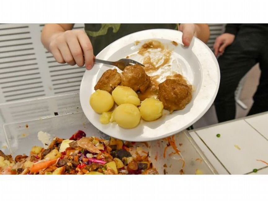 Приобрету пищевые отходы для животных