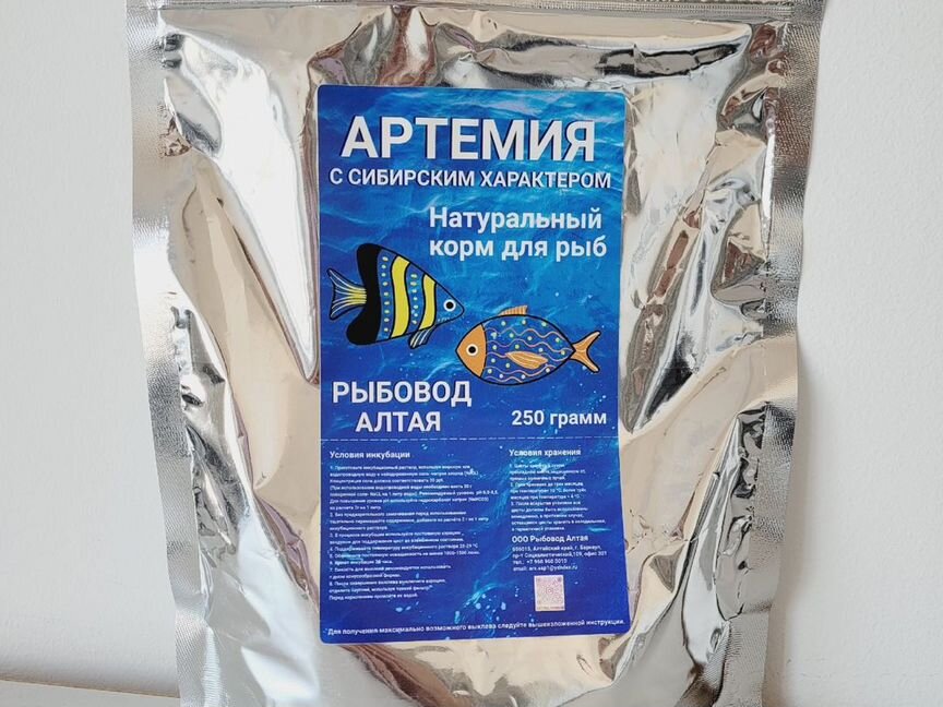 Цисты Артемии