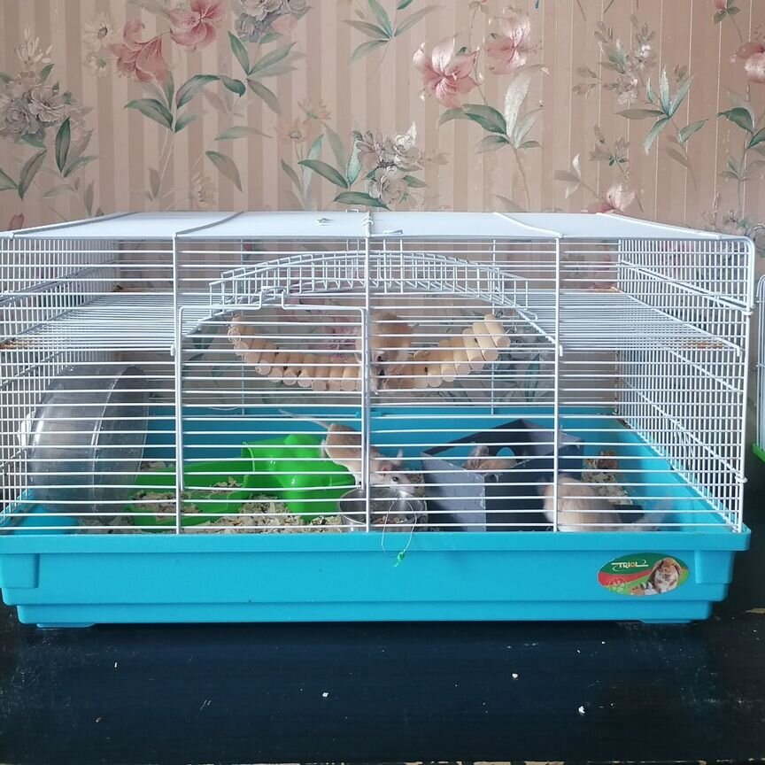 Клетка для грызунов бу