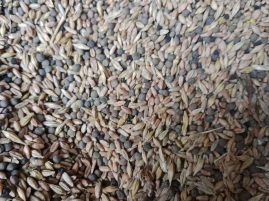 Вико злаковая смесь