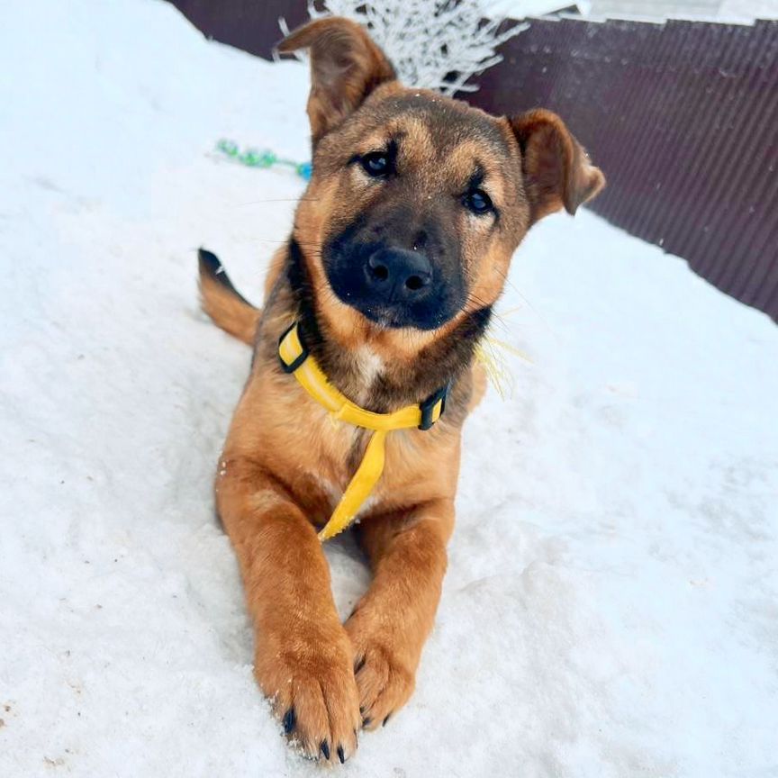 Злата для души