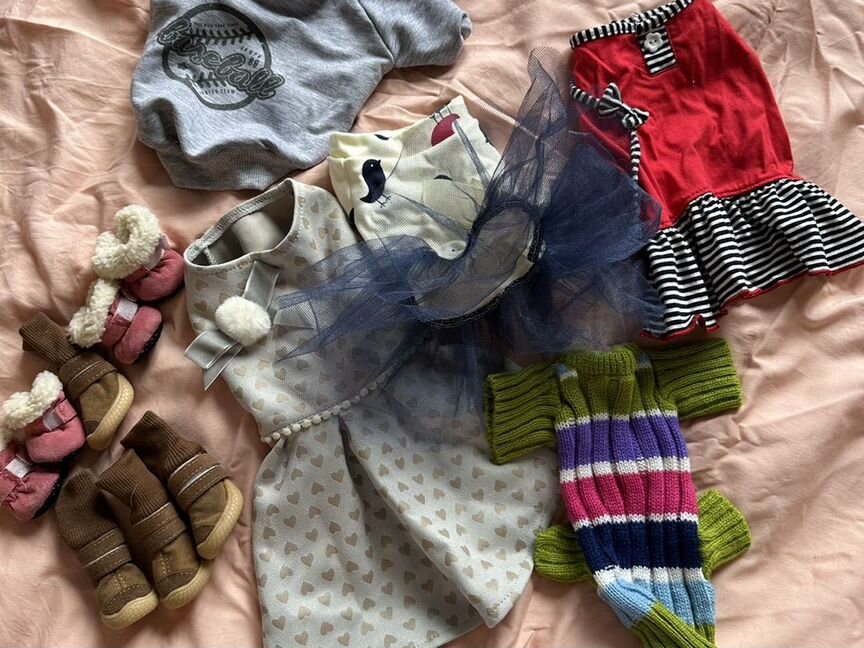 Одежда для собак xs