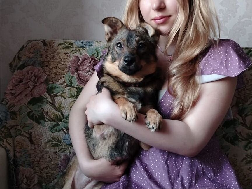 Мленькая собачка Кара