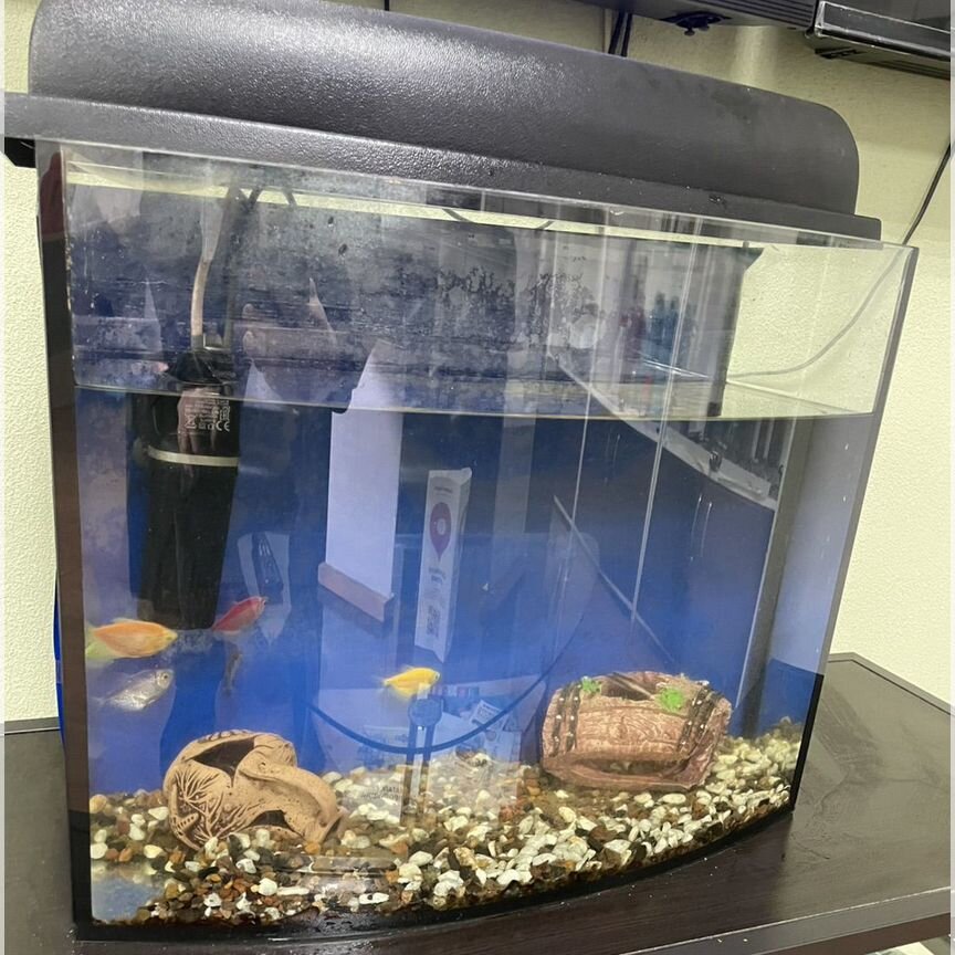 Аквариум с рыбками