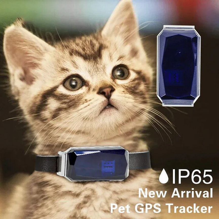 Gps ошейник для животных