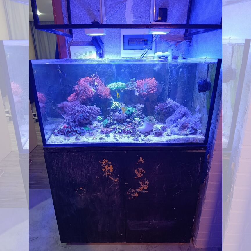 Морской аквариум