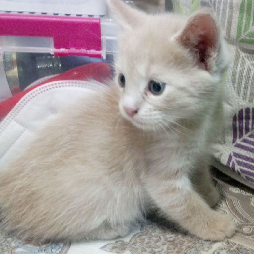 Очень хороший мальчик