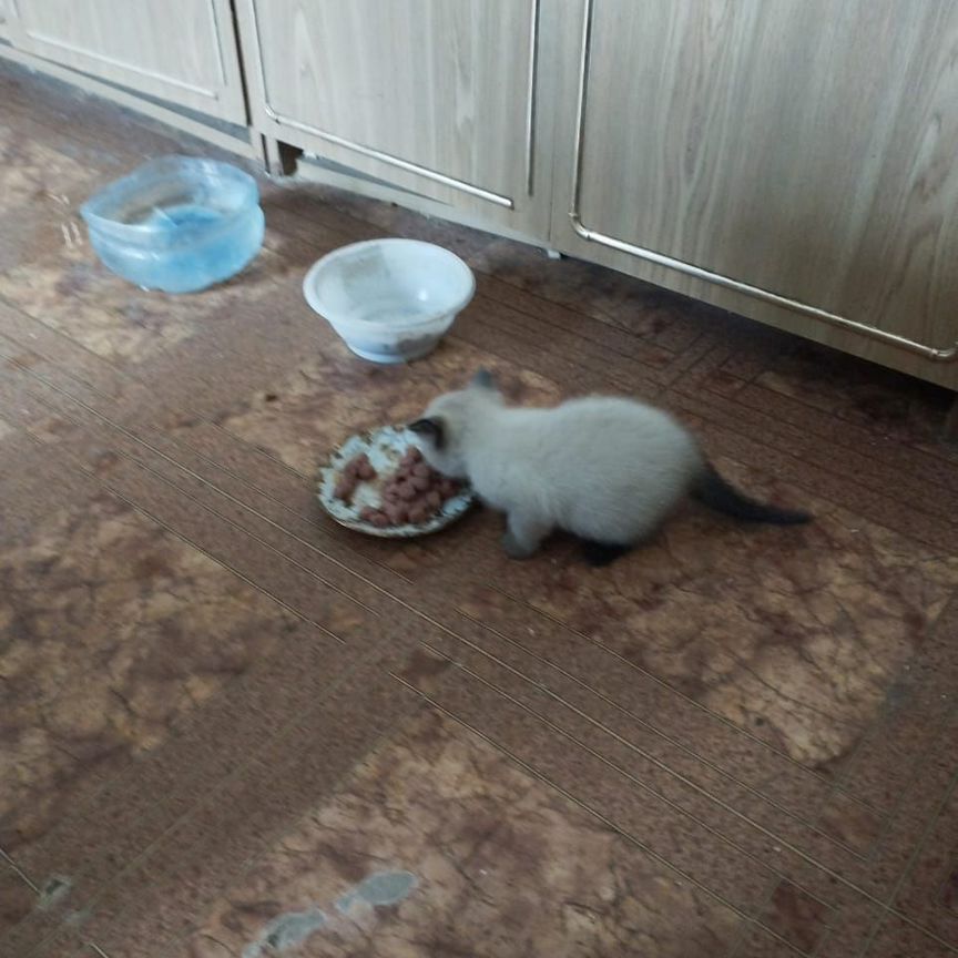 Любое разное другое