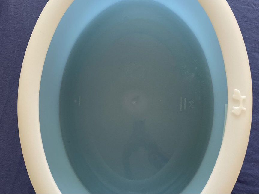 Кошачий лоток и совок Италия