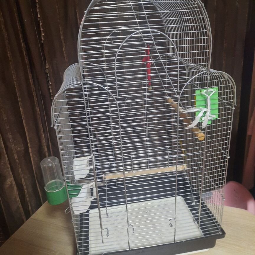 Клетка для Попугая