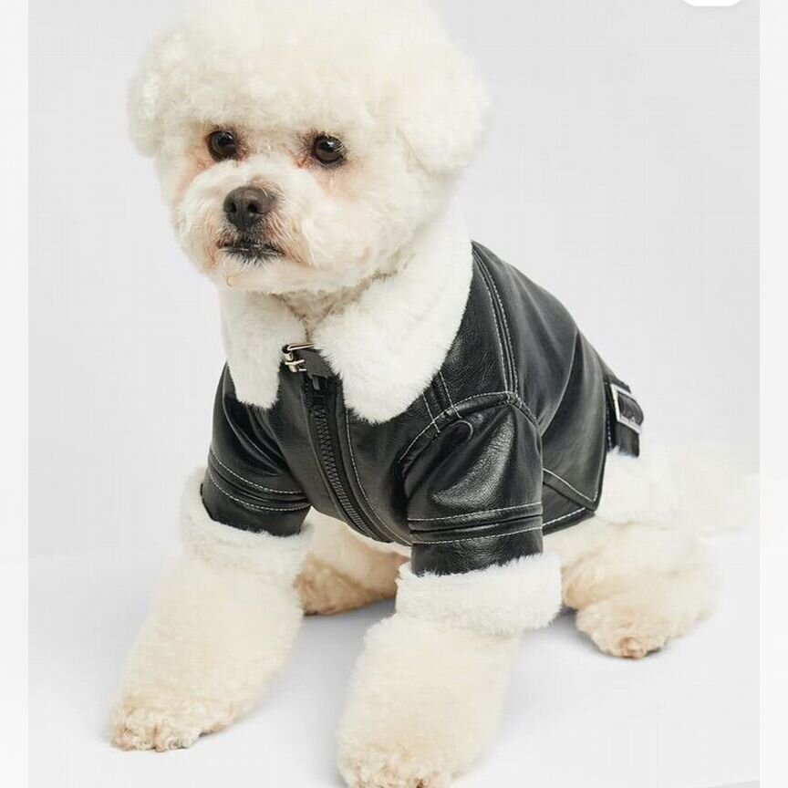 Куртка для собак средних пород