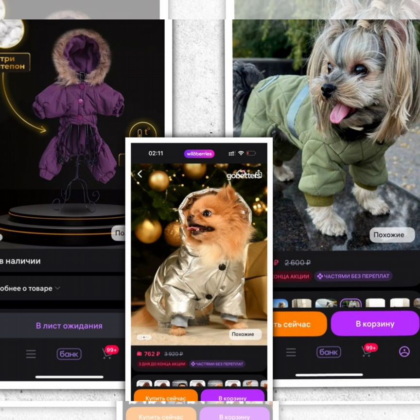 Одежда для собак мелких пород