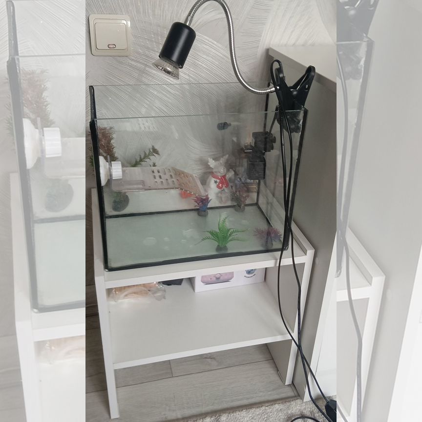 Аквариум для черепах 20 л с аксессуарами