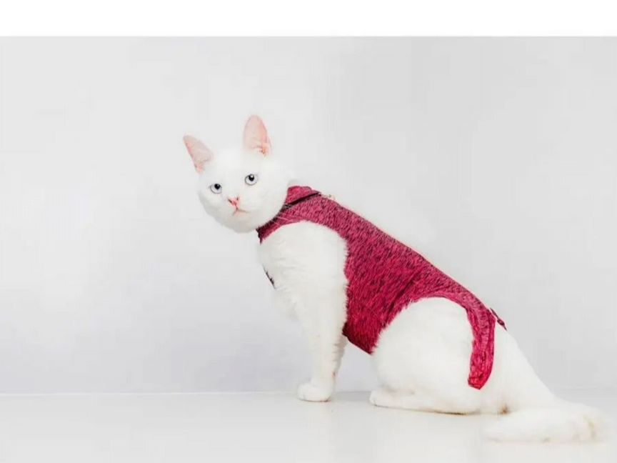 Новая Попона послеоперационная