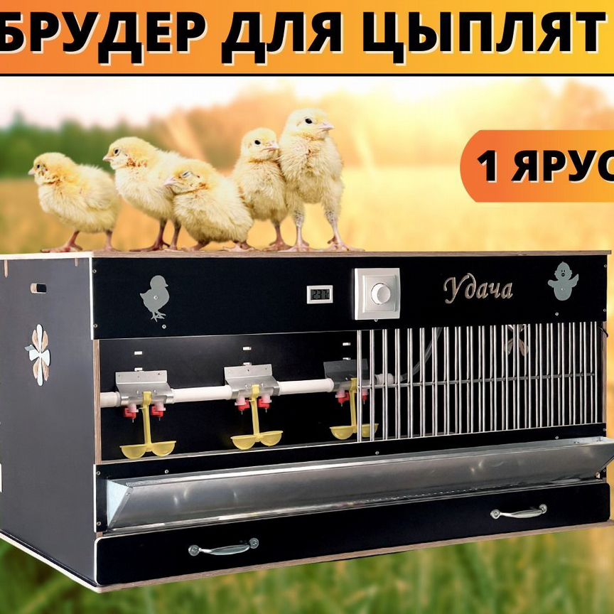 Брудер для цыплят