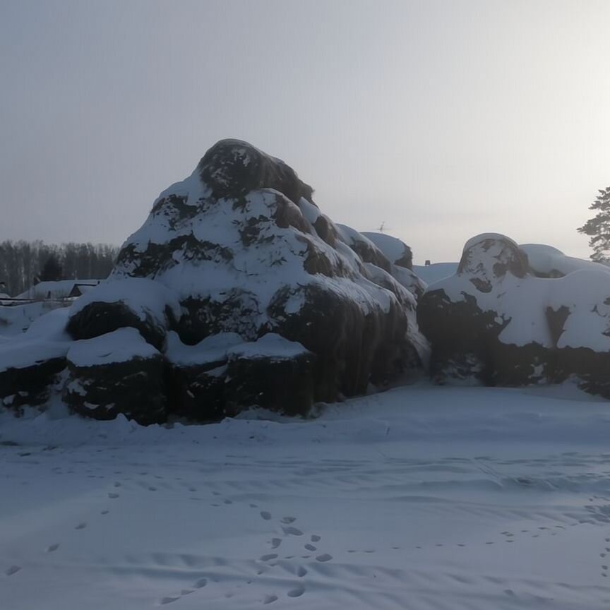 Сено в тюках