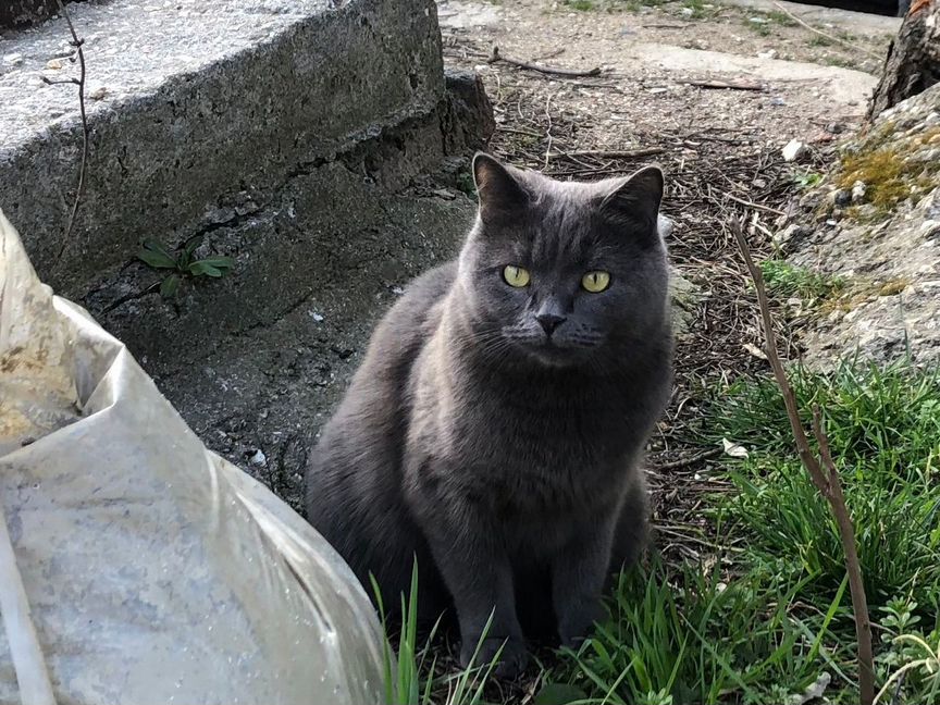 Не принцесса, а королевна