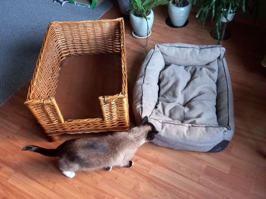 Лежанка корзина из лозы для животного
