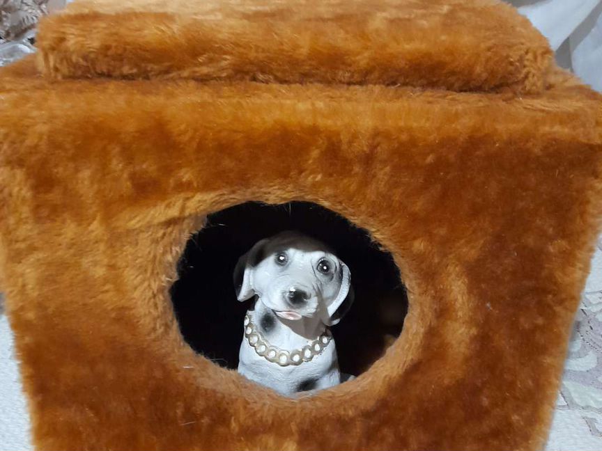 Домик для кошечки