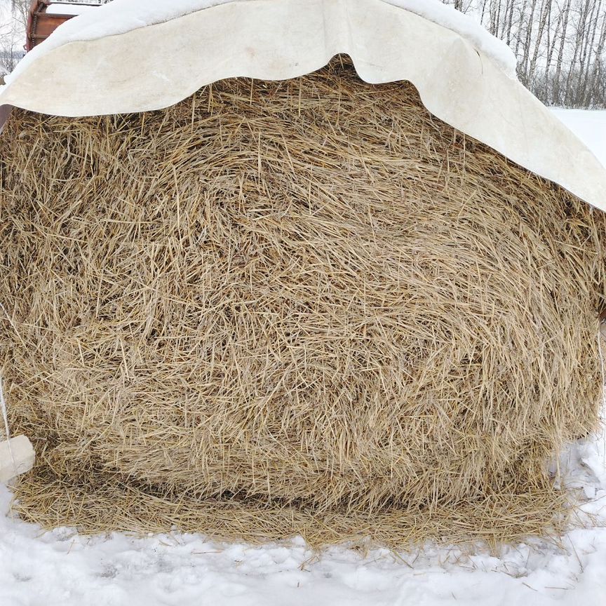 Солома в рулонах
