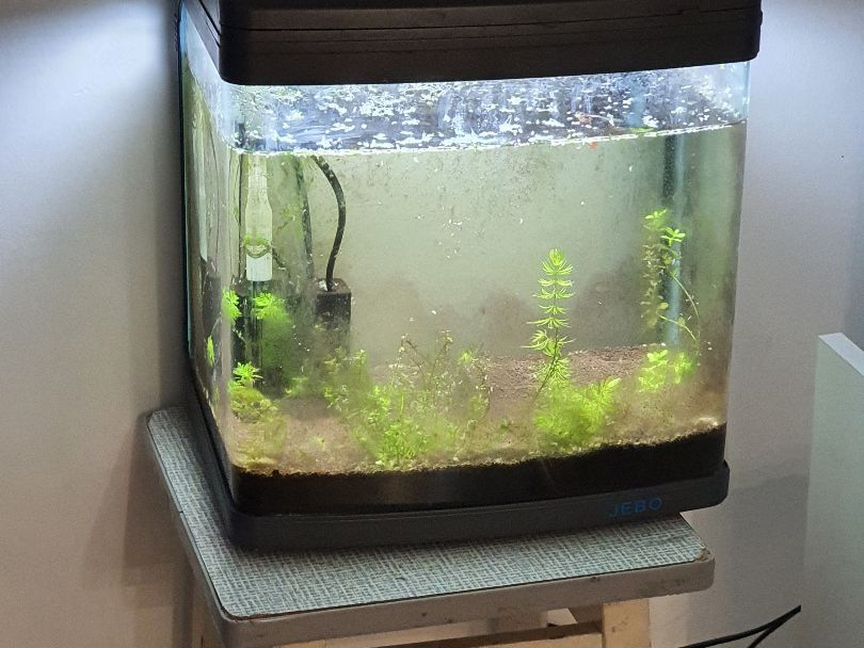 Аквариума со встроенным светом и фильтром