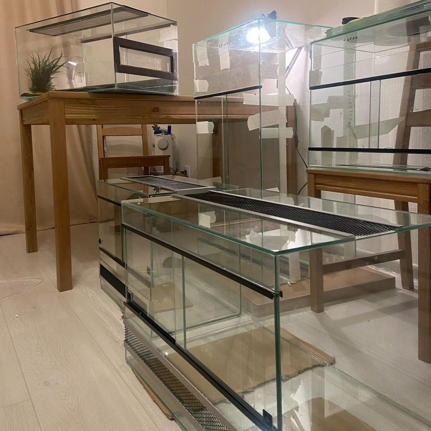 Террариум на заказ