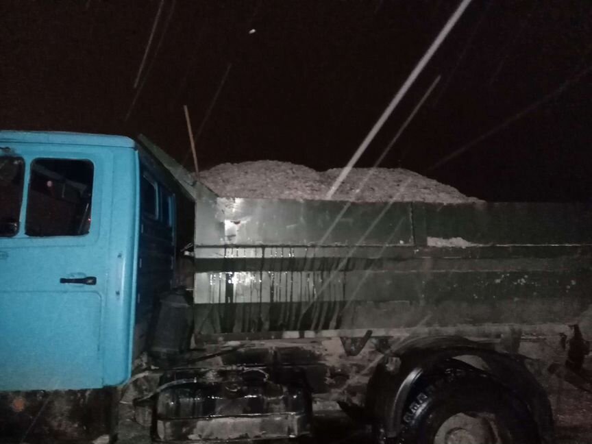 Жом свекловичный