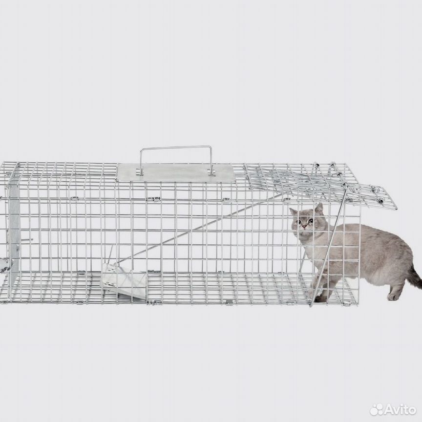 Клетка / кошколовка