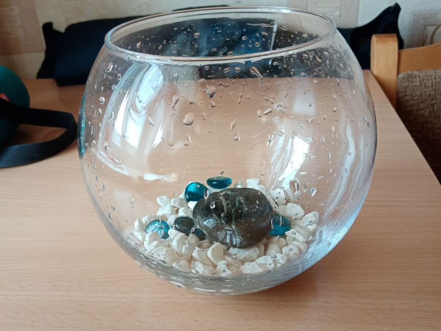 Аквариум круглый 2л