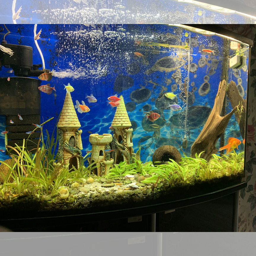 Продам аквариум 125 литров