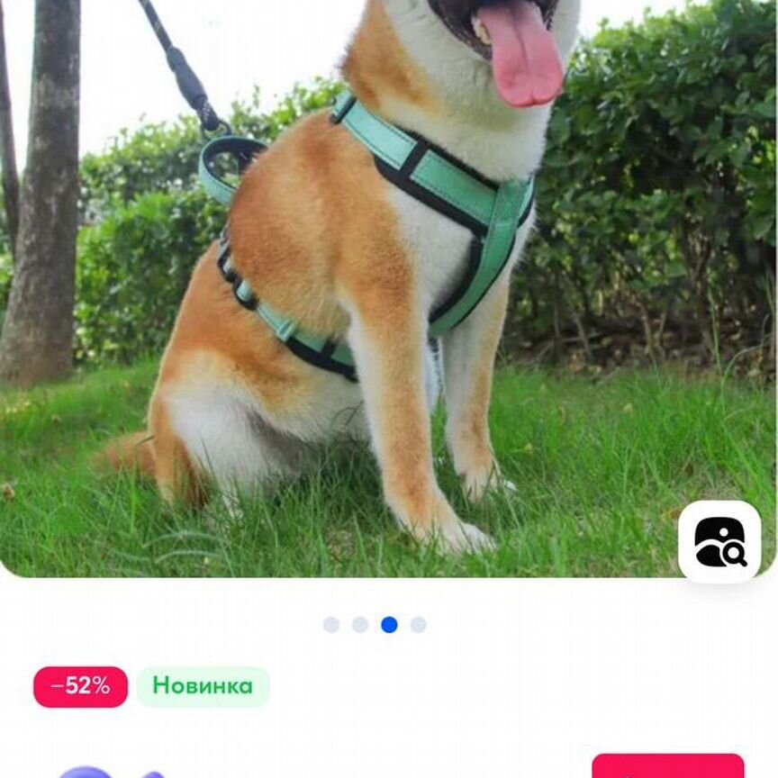 Шлейка bernard S