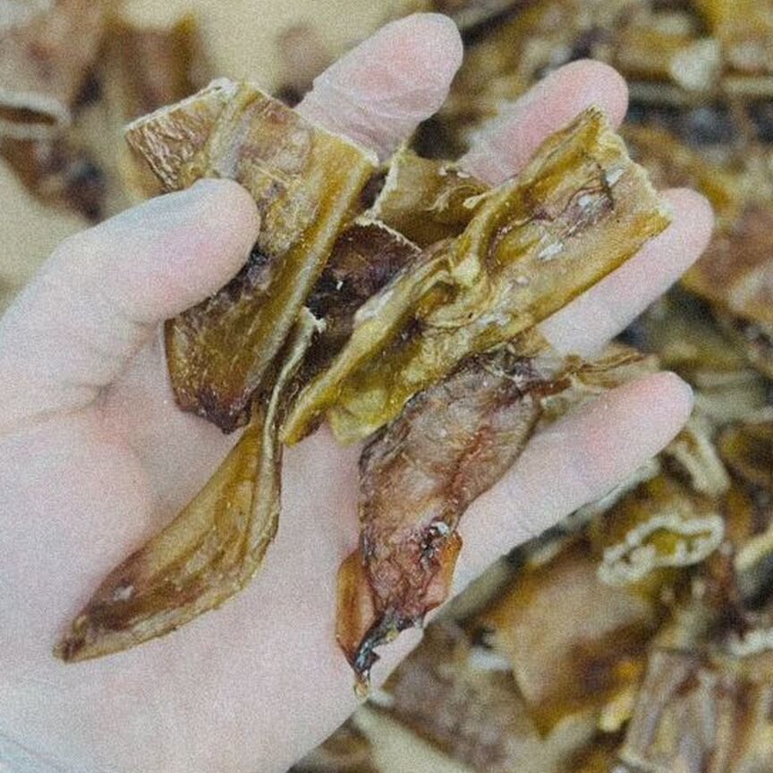 Аорта говяжья сушенная 300 гр. (5-10 см.)