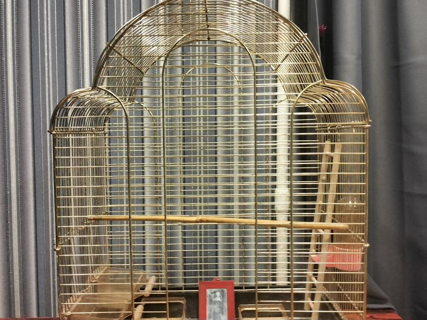 Клетка для крупного попугая