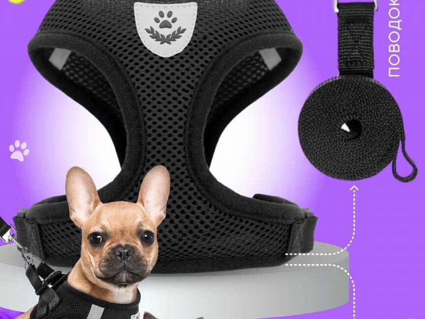 Шлейка для собак и кошек