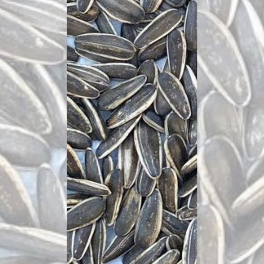 Семечки подсолнечника полосатые