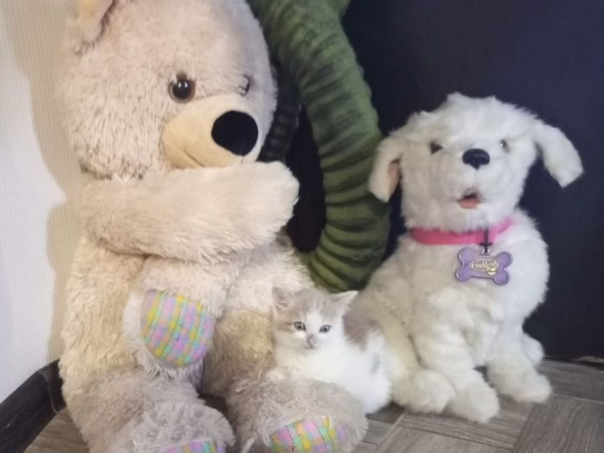 Рыжая малышка