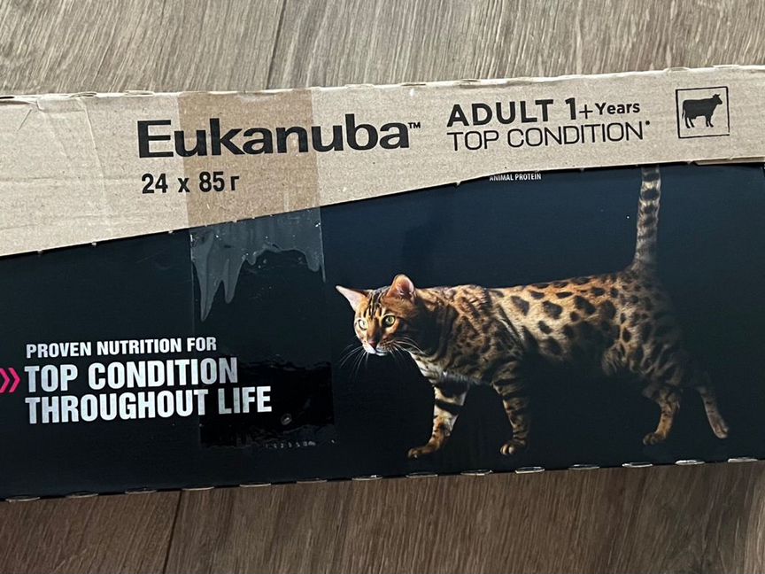 Влажный корм для кошек eukanuba