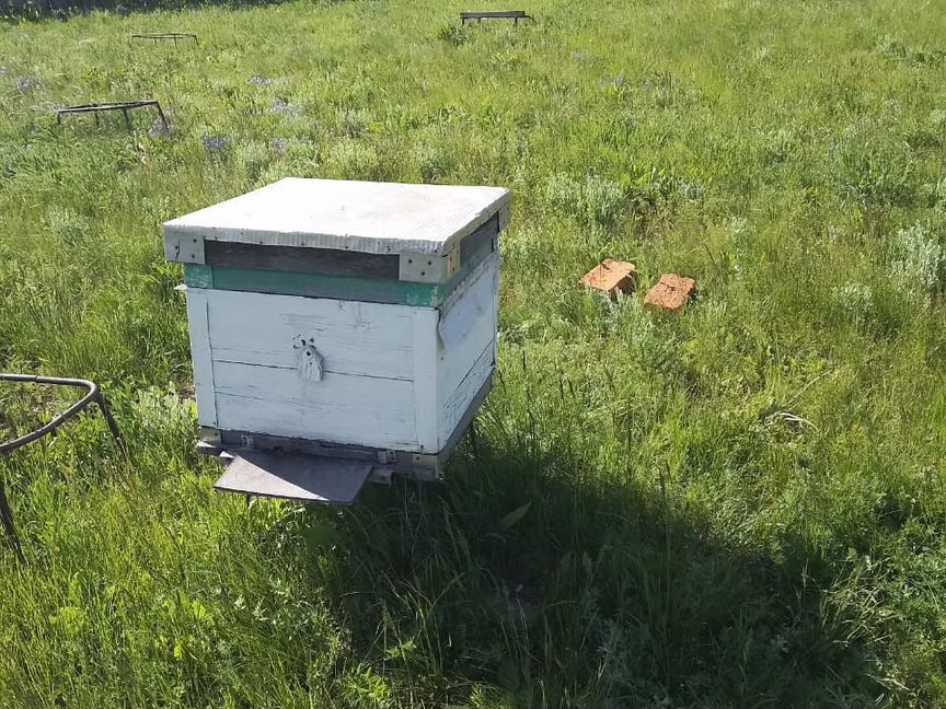 Улей для пчел бу