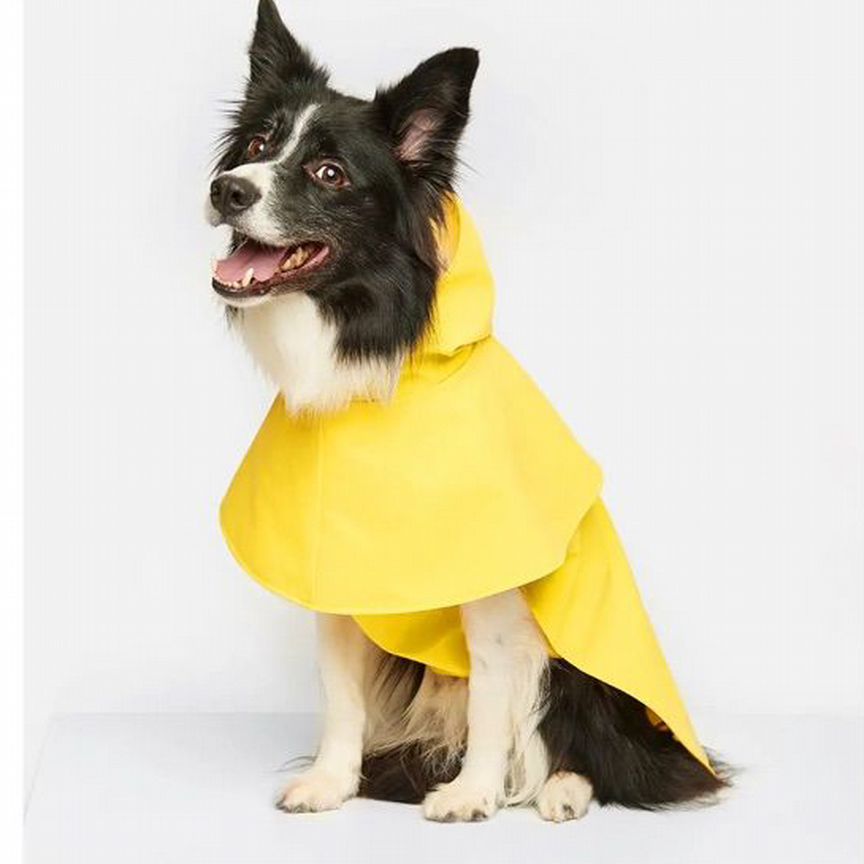 Дождевик для средней собаки