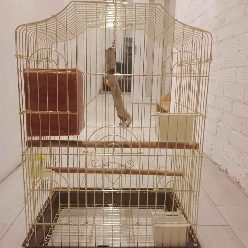 Большая клетка для птиц