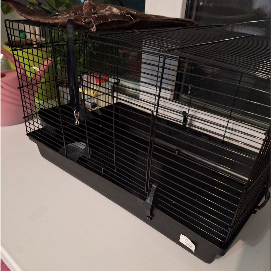 Клетка для грызунов