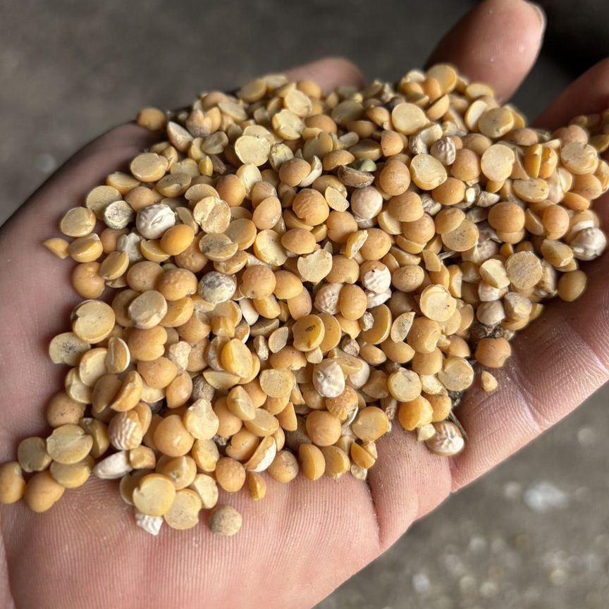 Зерноотходы