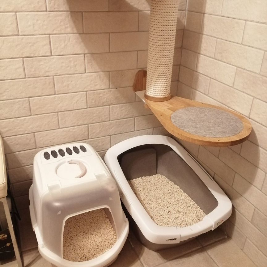 Кошачий домик туалет