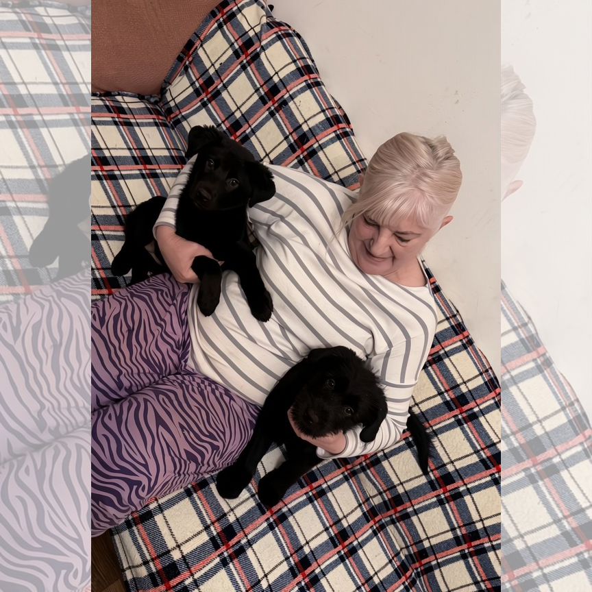 Щенок в добрые руки