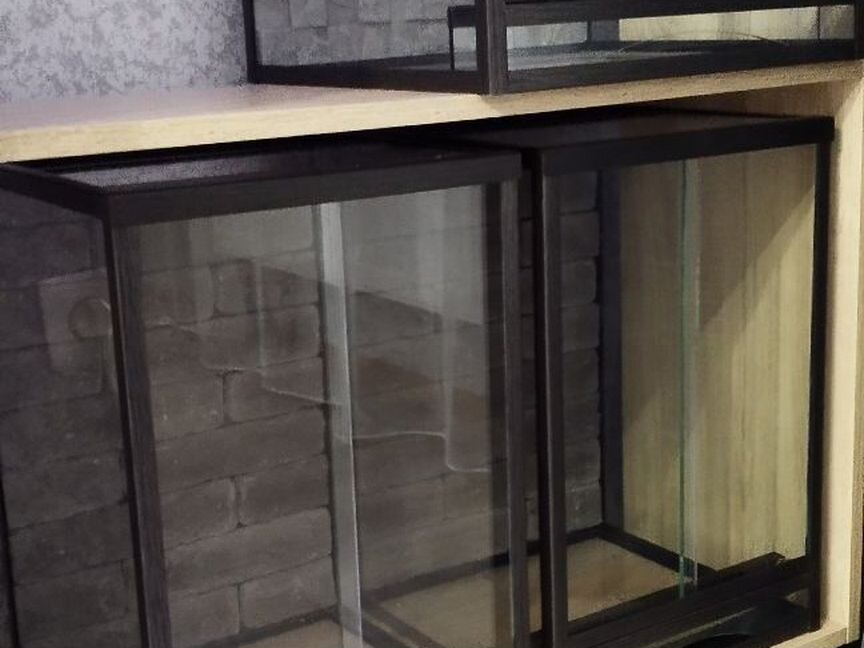 Террариум и паучатнич