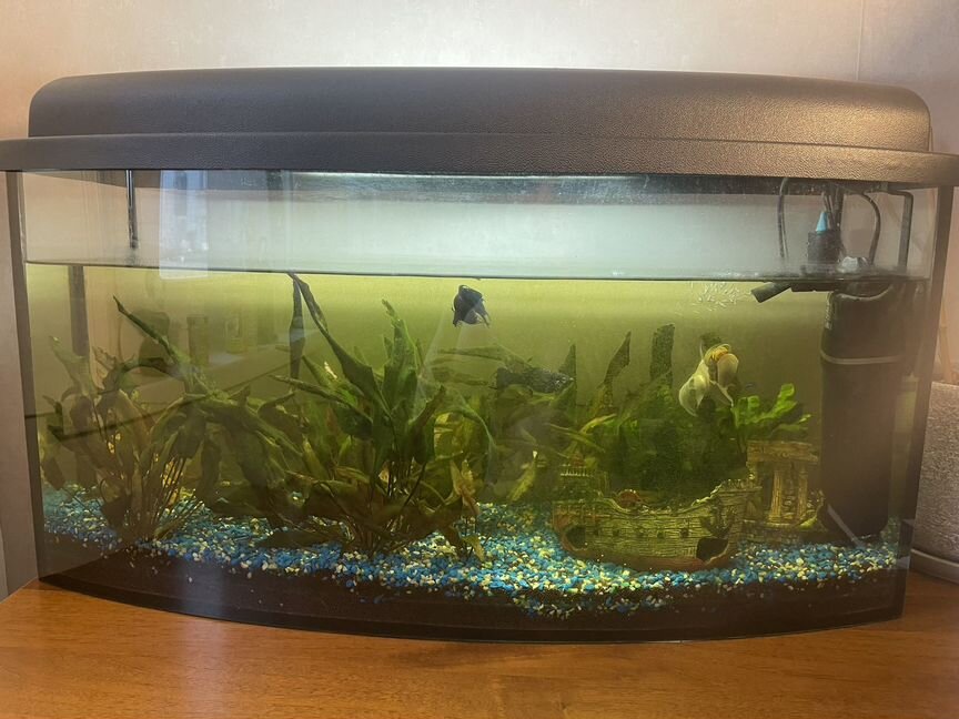 Аквариум 80 литров