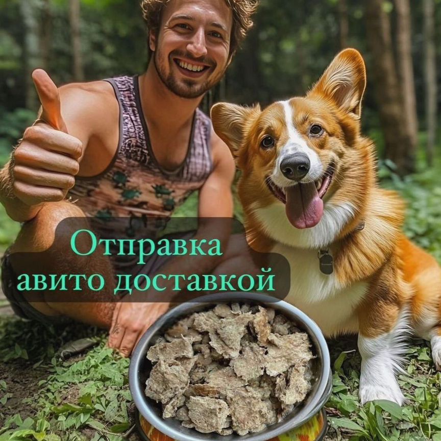 Корм для собак от производителя