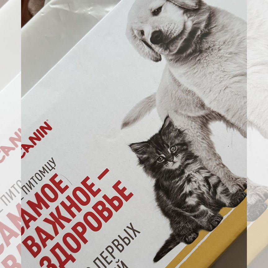 Сухой корм для собак