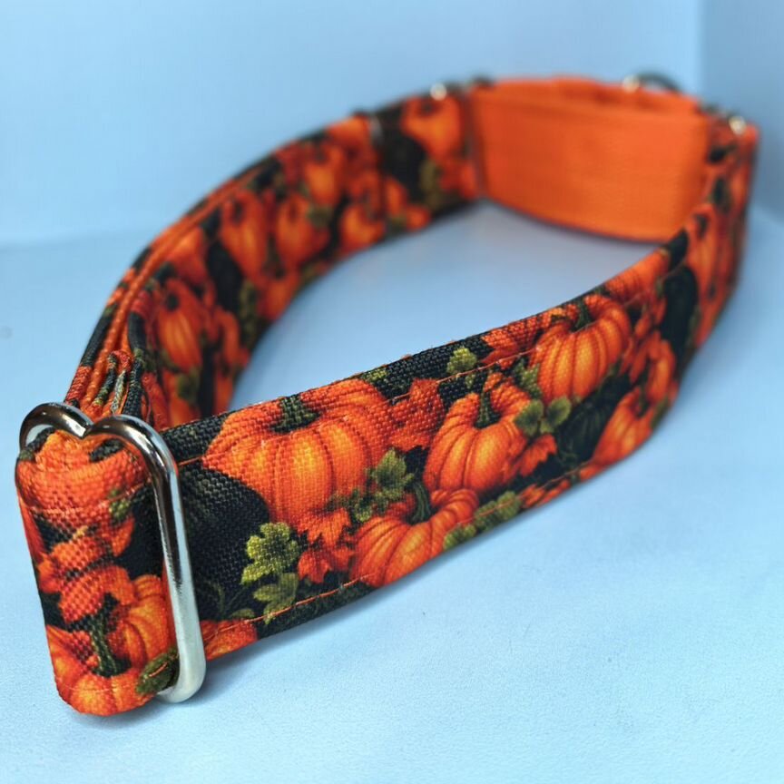 Ошейник для собак