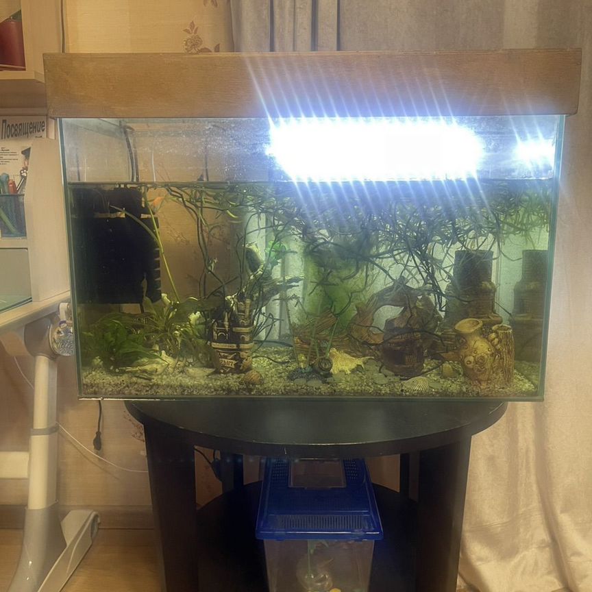 Аквариум с рыбками